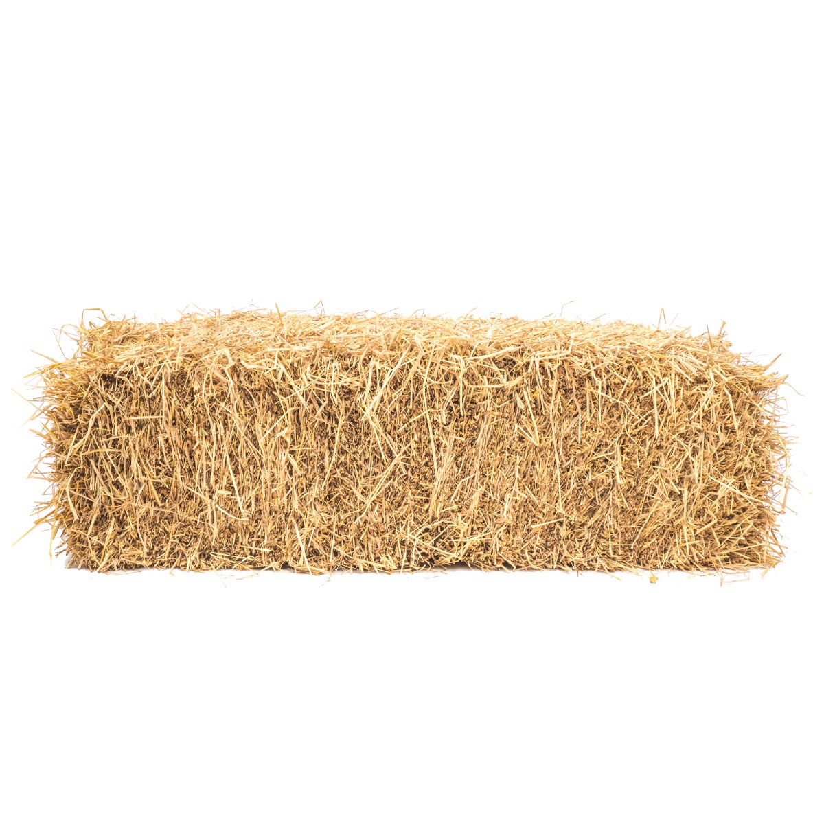 Paille naturelle | Matério